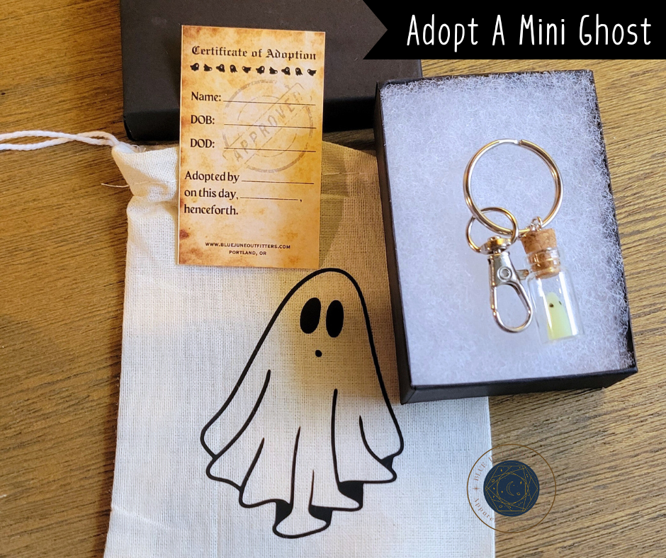 ADOPT A MINI GHOST